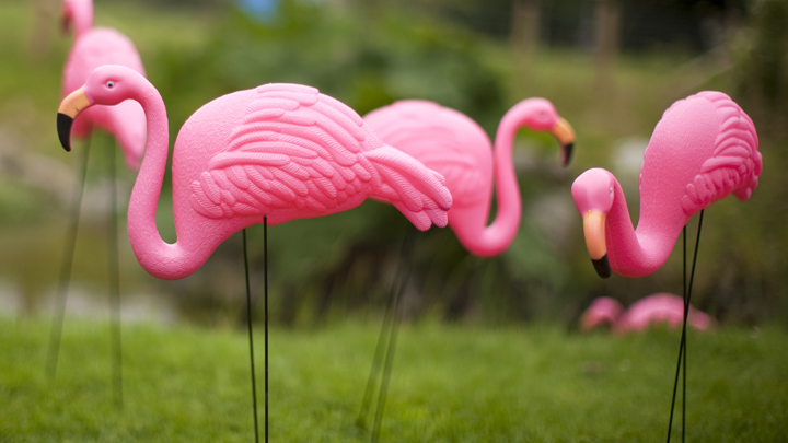 20 amazing facts you probably didn’t know! - Starts at 60