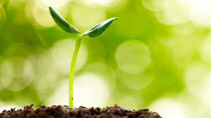 Life explained - Starts at 60