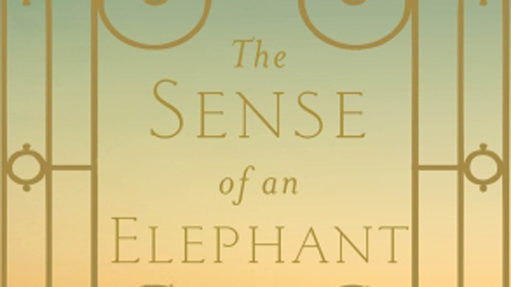 The Sense of an Elephant - Starts at 60
