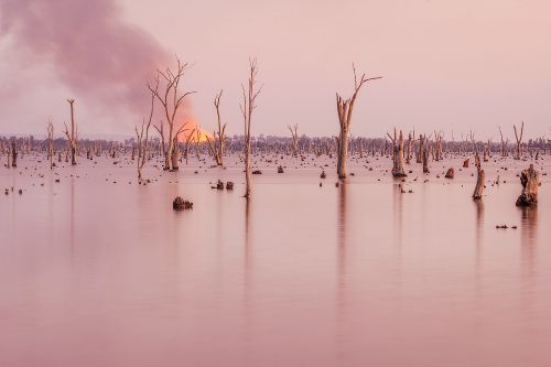 These images are both beautiful and heart-breaking - Starts at 60