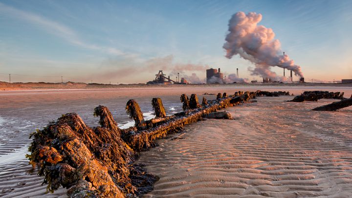 These images are both beautiful and heart-breaking - Starts at 60