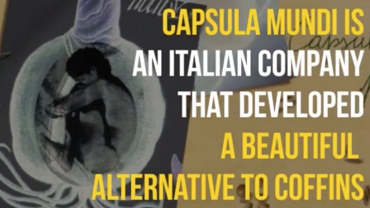 These organic burial pods bring new life to deceased bodies - Starts at 60