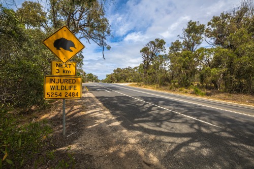 The best Australian road trips - Starts at 60