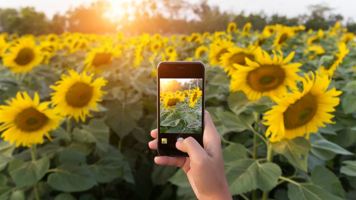 5 tips to take outstanding photos with your iPhone - Starts at 60