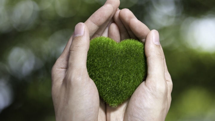 Five major myths about going green - Starts at 60