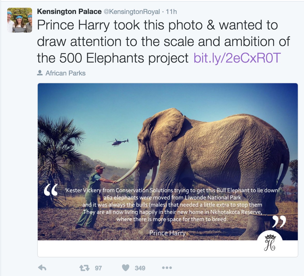 The stunning photos and video show the prince rolling up his sleeves ...