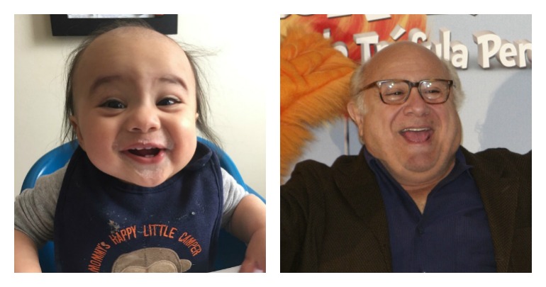 Baby Logan Bihamta, left, looks very much like Danny Devito. Photo ...