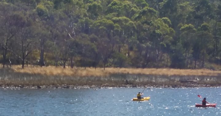 Following the trail of the remarkable Susan Harvey (Part 1) - Starts at 60