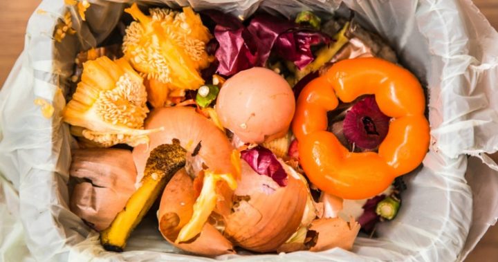 How to stop juices stinking out your bin - Starts at 60