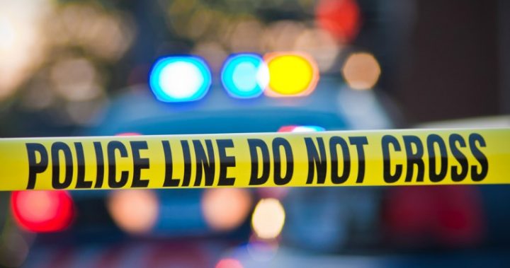 Latest development in Karen Ristevski case could reveal killer - Starts ...