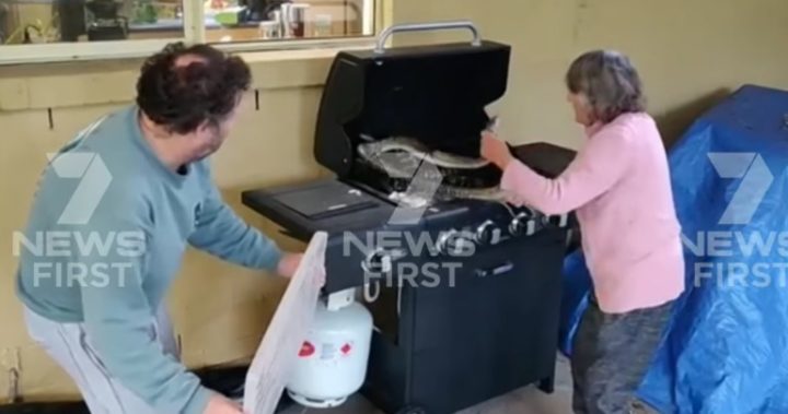 Amazing video shows gran tackle two pythons hiding in her barbecue ...