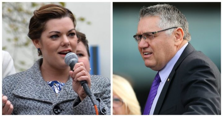 ‘I regret the error’: Sarah Hanson-Young forced to apologise to Ray ...