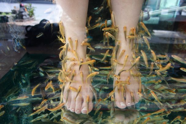 Woman’s toenails fall off after popular fish pedicure - Starts at 60