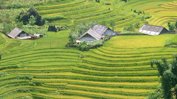 Discover Vietnam’s beautiful Sapa with this brilliant travel deal ...