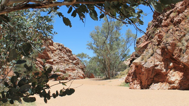 Alice rocks: Our time in Alice Springs during the record hottest summer ...