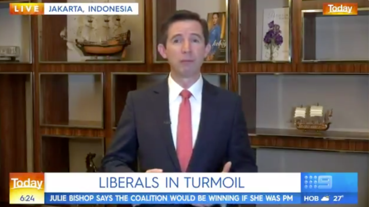 Liberal frontbencher claims ‘anyone could have beaten Bill Shorten ...