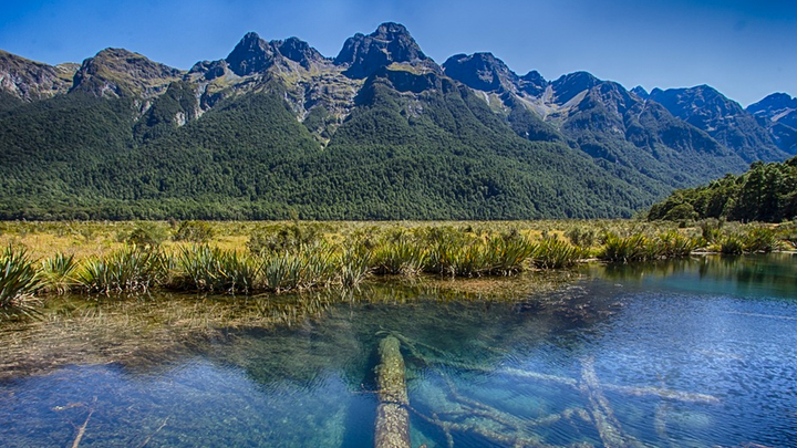 Over 60 is the best time to go backpacking in NZ (really!) - Starts at 60