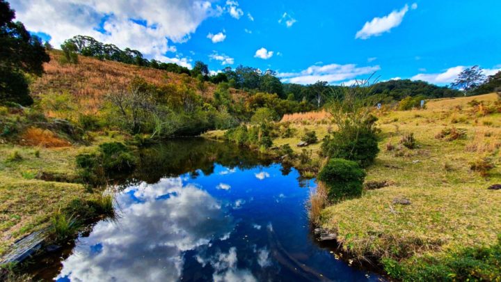 ‘A must-do day trip through NSW hinterland villages to Ellenborough ...
