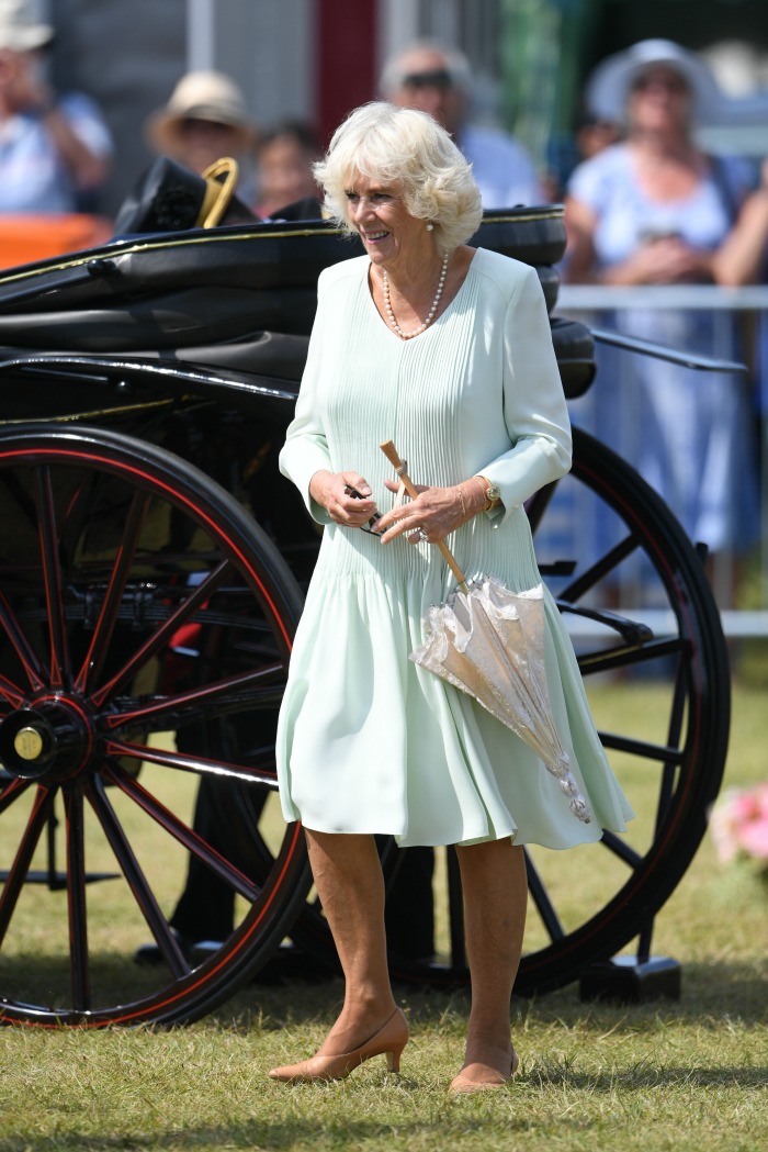 Pastel perfection! Camilla looks divine in pretty pleated frock at ...