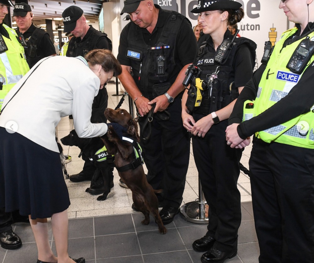 ‘Hard working’ Princess Anne swaps elegant attire for casual look at ...