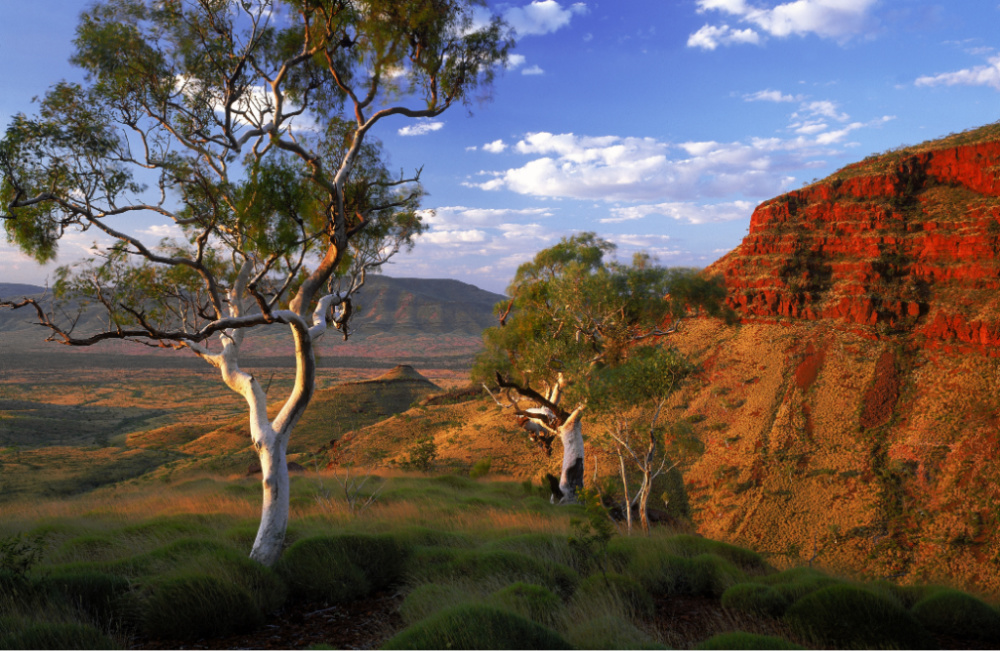 Rugged gorges, ancient art and secluded waterfalls: Why the Pilbara is ...