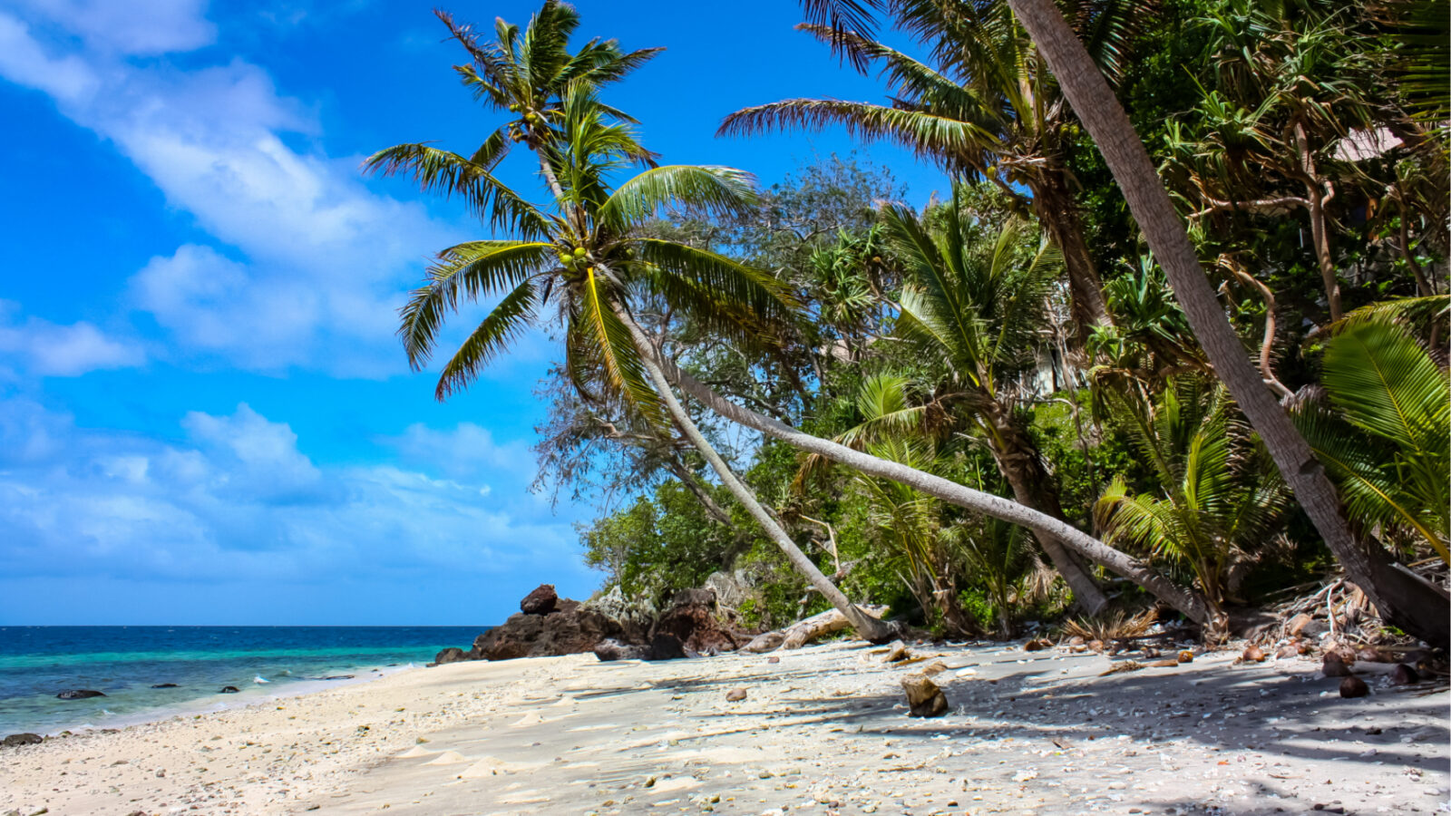 Sydney to Seattle via Fiji, Samoa and Hawaii: the South Pacific cruise ...