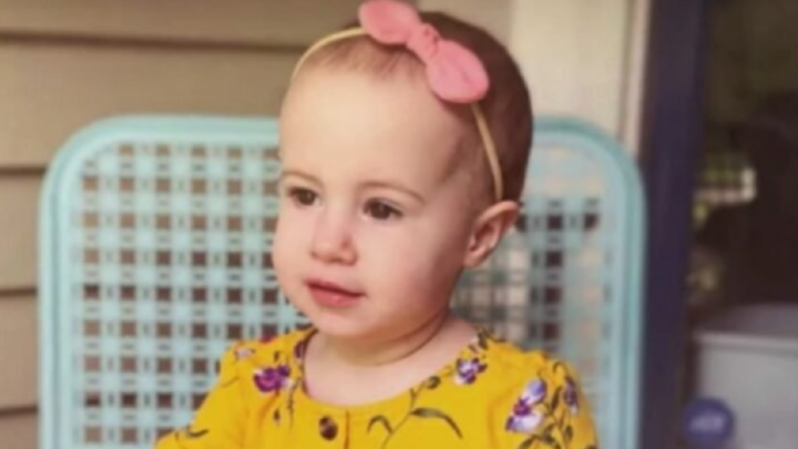 Light sentence for grandad who dropped toddler from cruise window ...