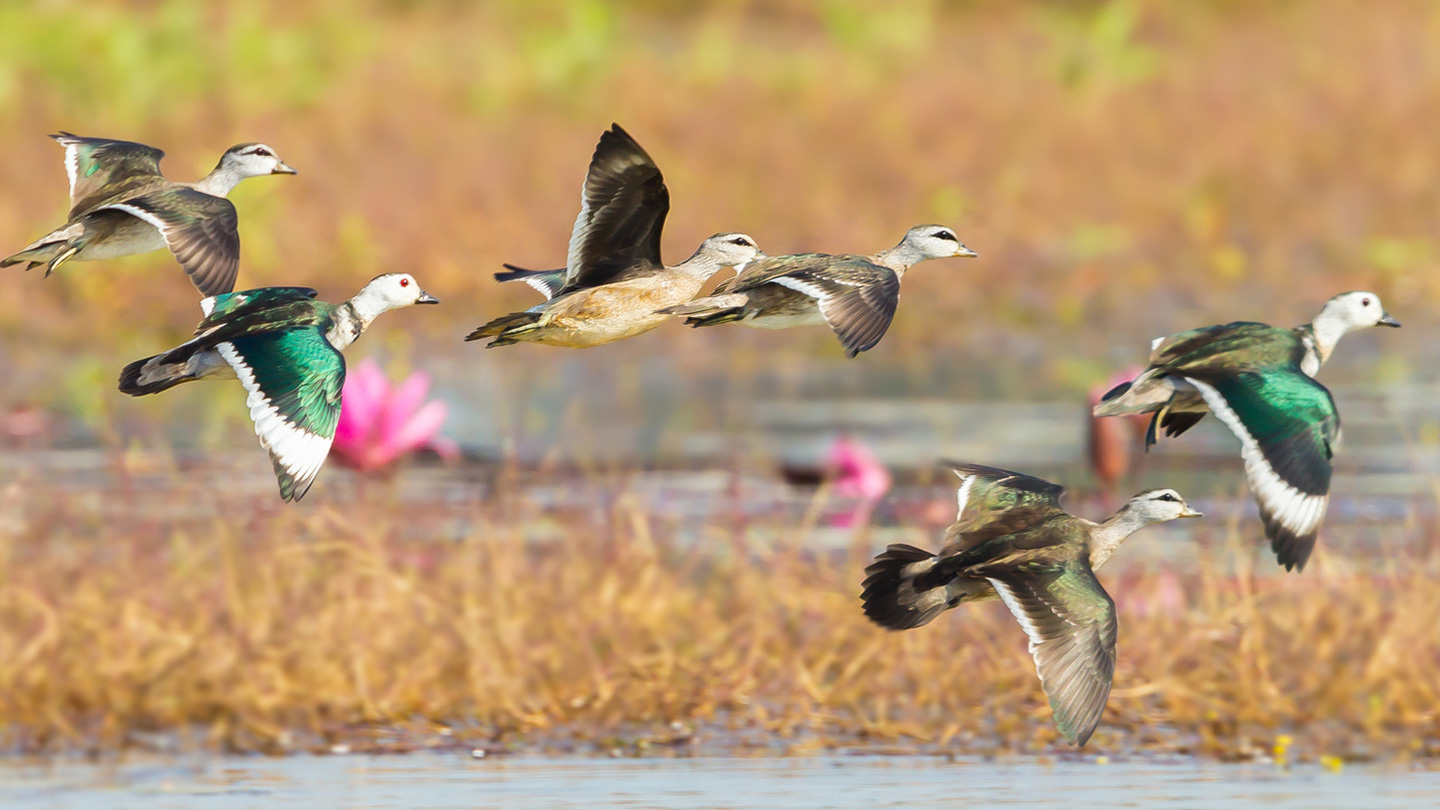 1. Tropical North Queensland