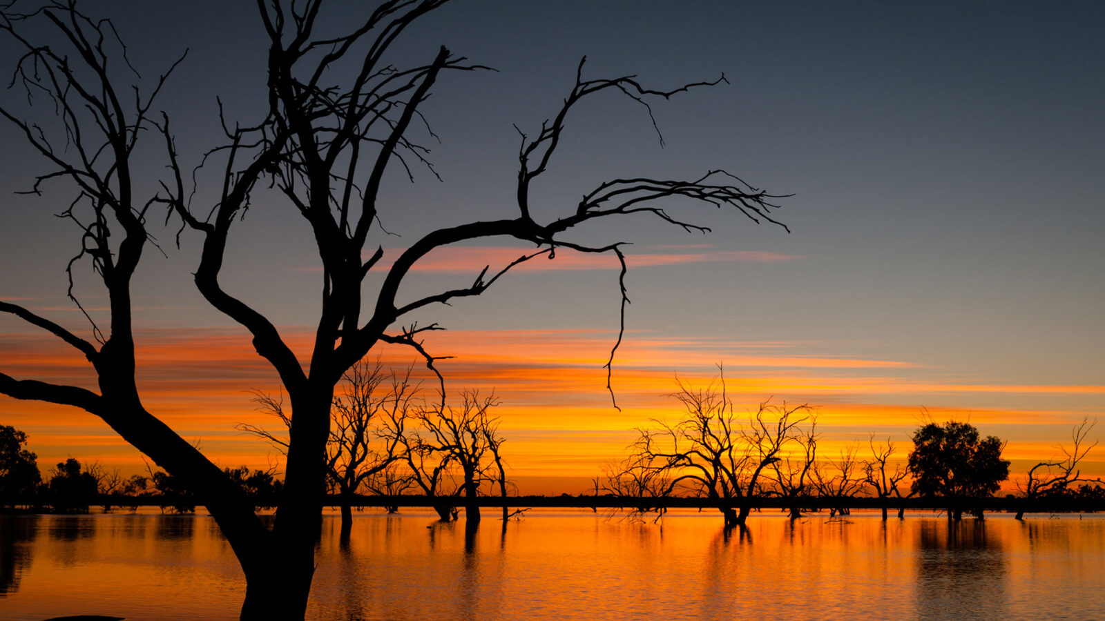 Guided holidays through 8 Australian National Parks - Starts at 60