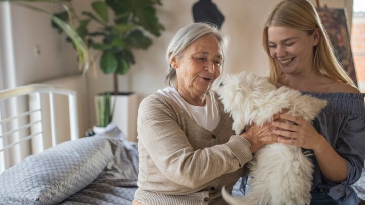 End-of-life decision making: how a choice can make all the difference ...