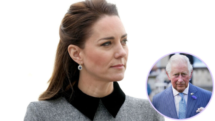 Royal health saga: Princess Catherine undergoes surgery as King Charles ...