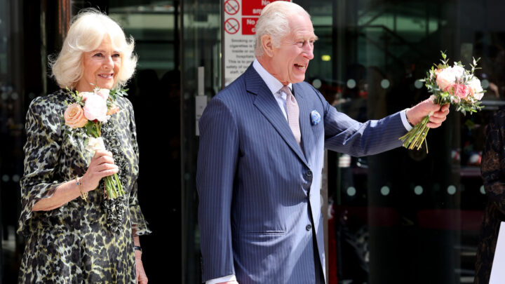 Who wore it best? King Charles’ ‘rex-cellent’ tie attracts the ...