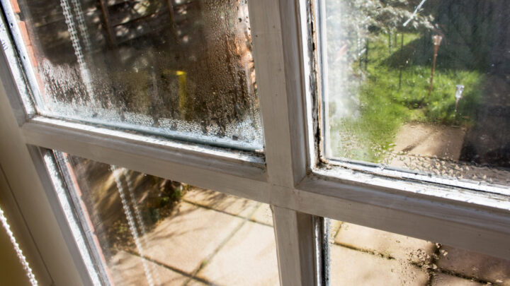 Prepare to be ‘blown away’ by this simple method for preventing ...