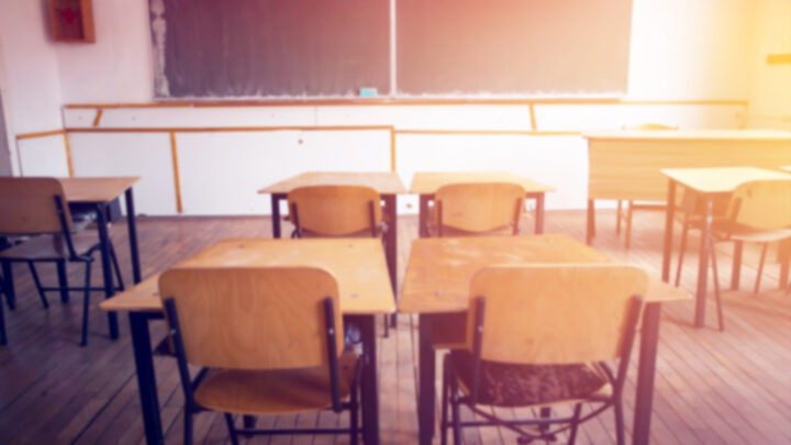 Reflecting on school days: Wagging adventures and academic triumphs of ...