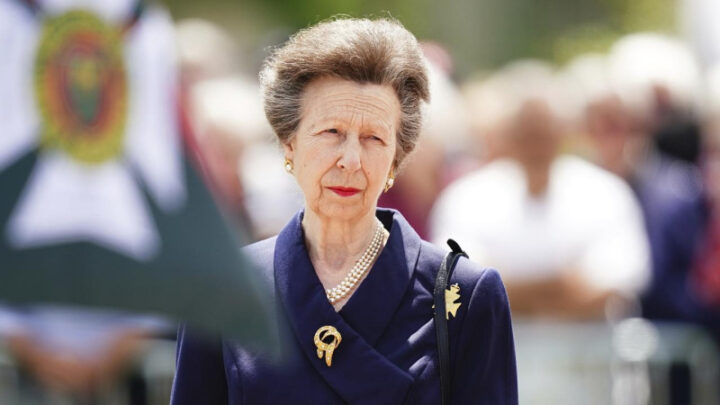 Princess Anne receives outpouring of well wishes from royal fans after ...