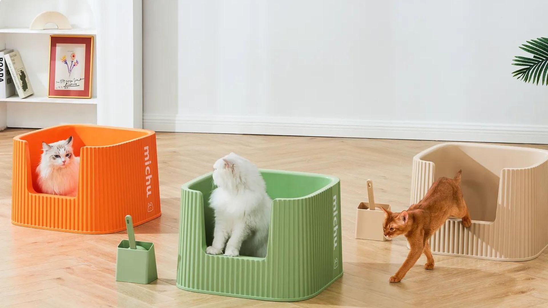 Calling all cat lovers! This ultra-stylish litter box just got even ...