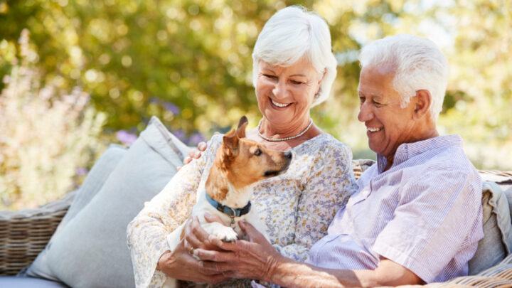 Longevity secrets of dogs unleashed: Which breed will stay by your side ...