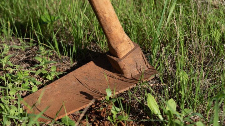 Six ingenious methods to restore rusty garden tools - Starts at 60