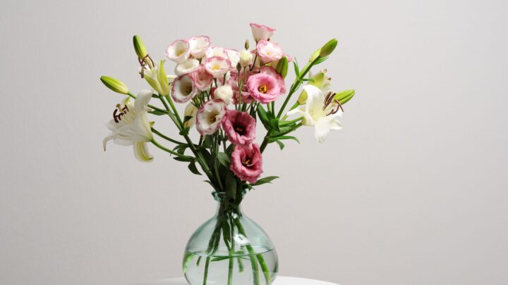 How to restore life to wilting flowers - Starts at 60