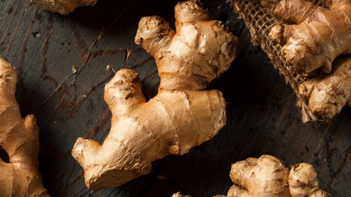 How to grow your own ginger at home for cooking - Starts at 60