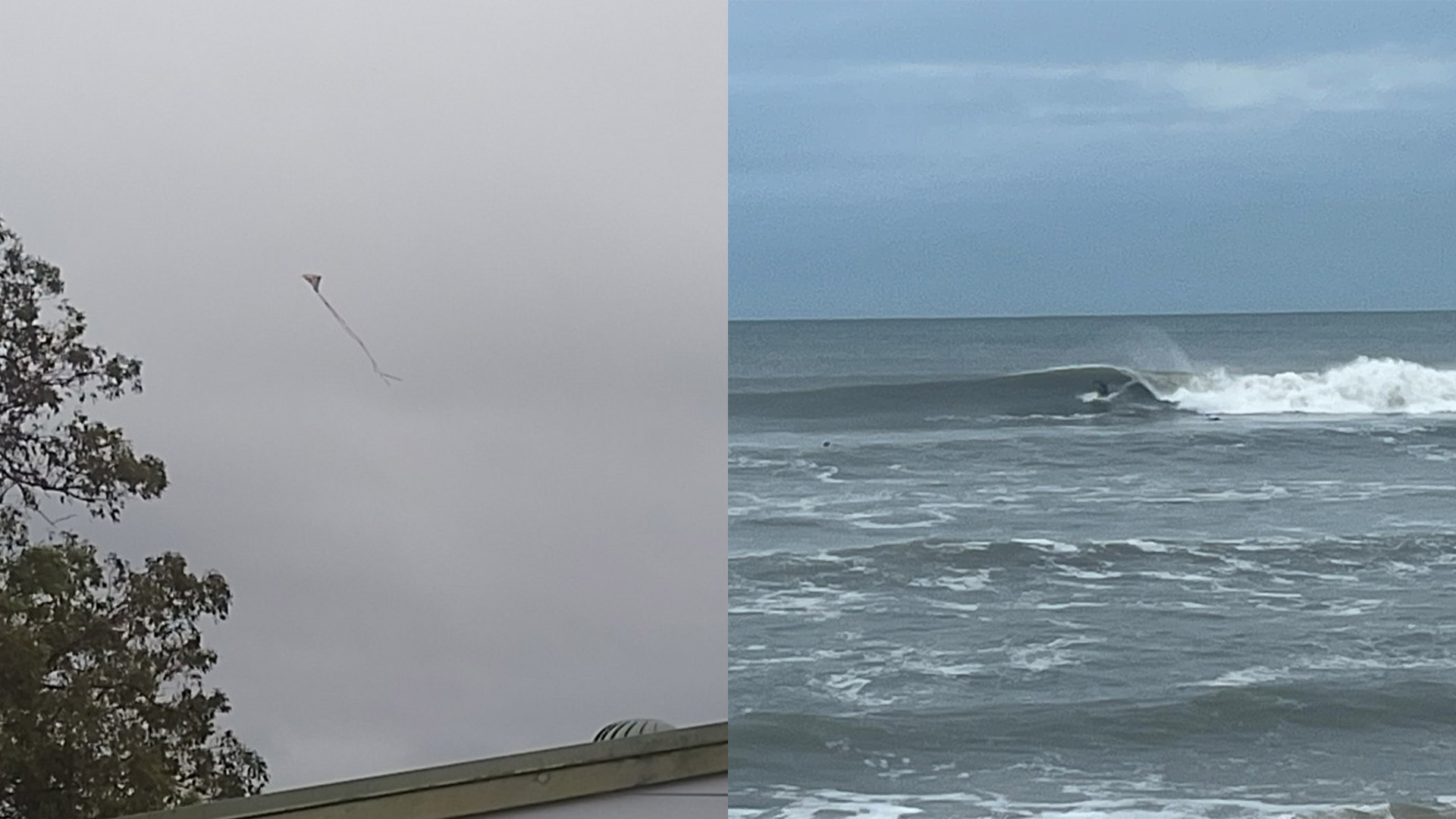 Tracking Tropical Cyclone Alfred: Starts at 60’s live coverage and ...