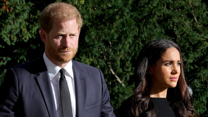 Prince Harry and Meghan Markle claim they ‘felt forced’ to step away ...