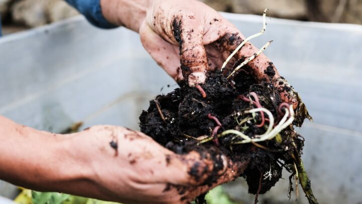 The Perfect Compost Recipe: Easy Steps for Rich, Healthy Soil - Starts ...