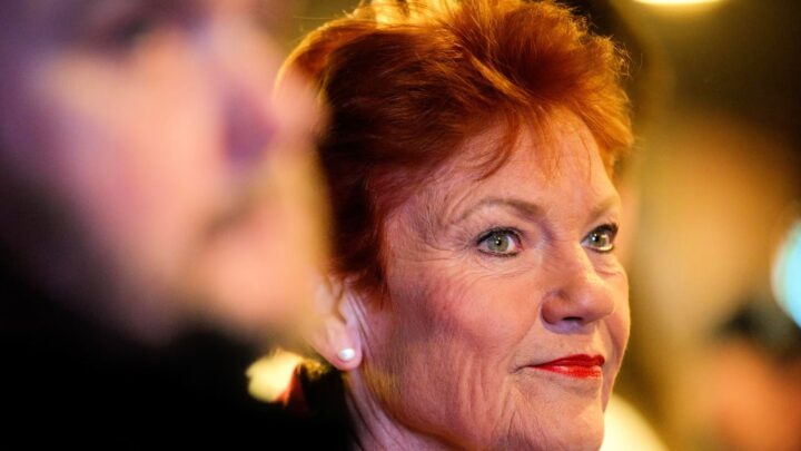 Poll puts One Nation ahead of Labor - Starts at 60